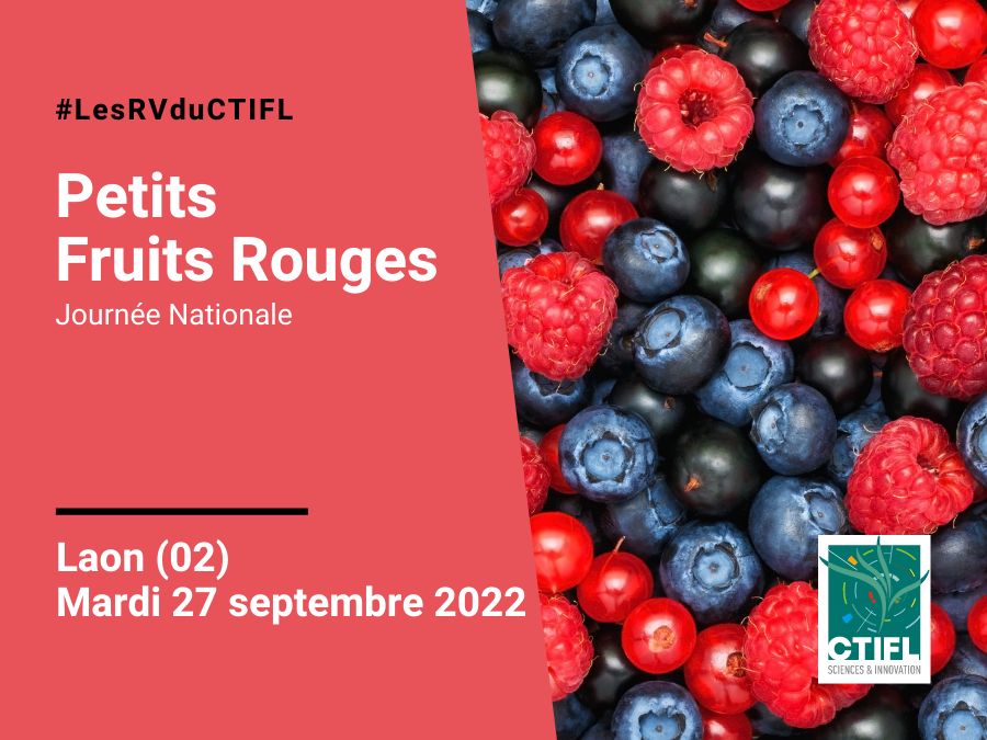 Journée nationale Petits Fruits Rouges - CTIFL