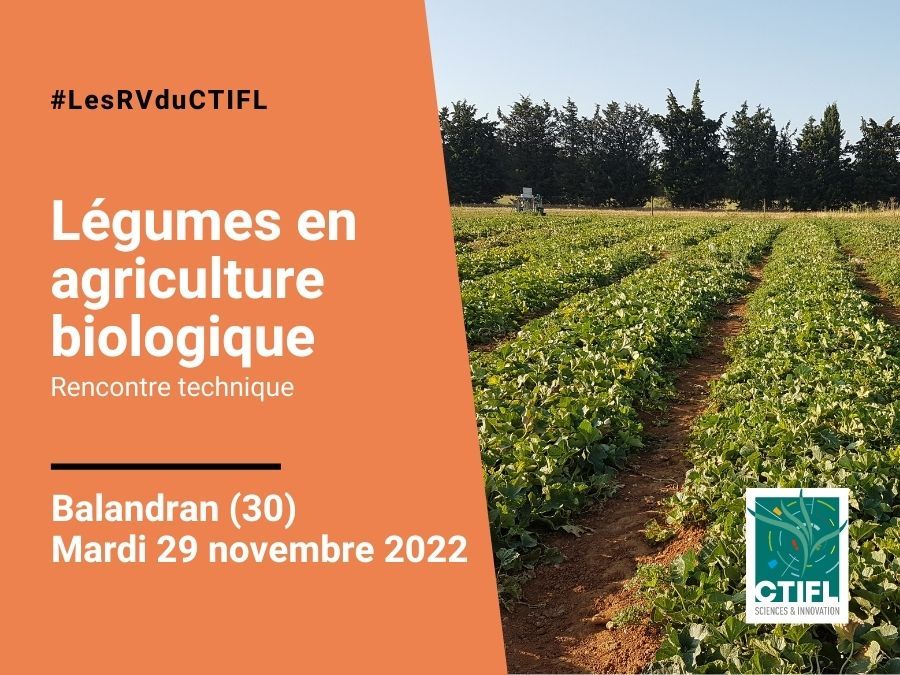 Rencontre Technique légumes agriculture biologique - CTIFL