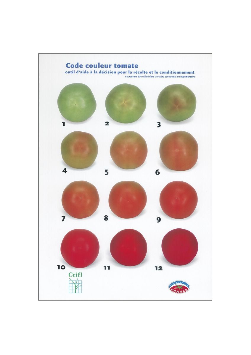 CODE COULEUR TOMATE A PLAT (Affichette) - CTIFL