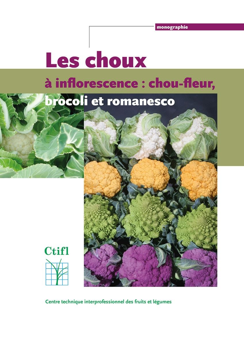 Les choux à inflorescence : chou-fleur, brocoli et romanesco - CTIFL