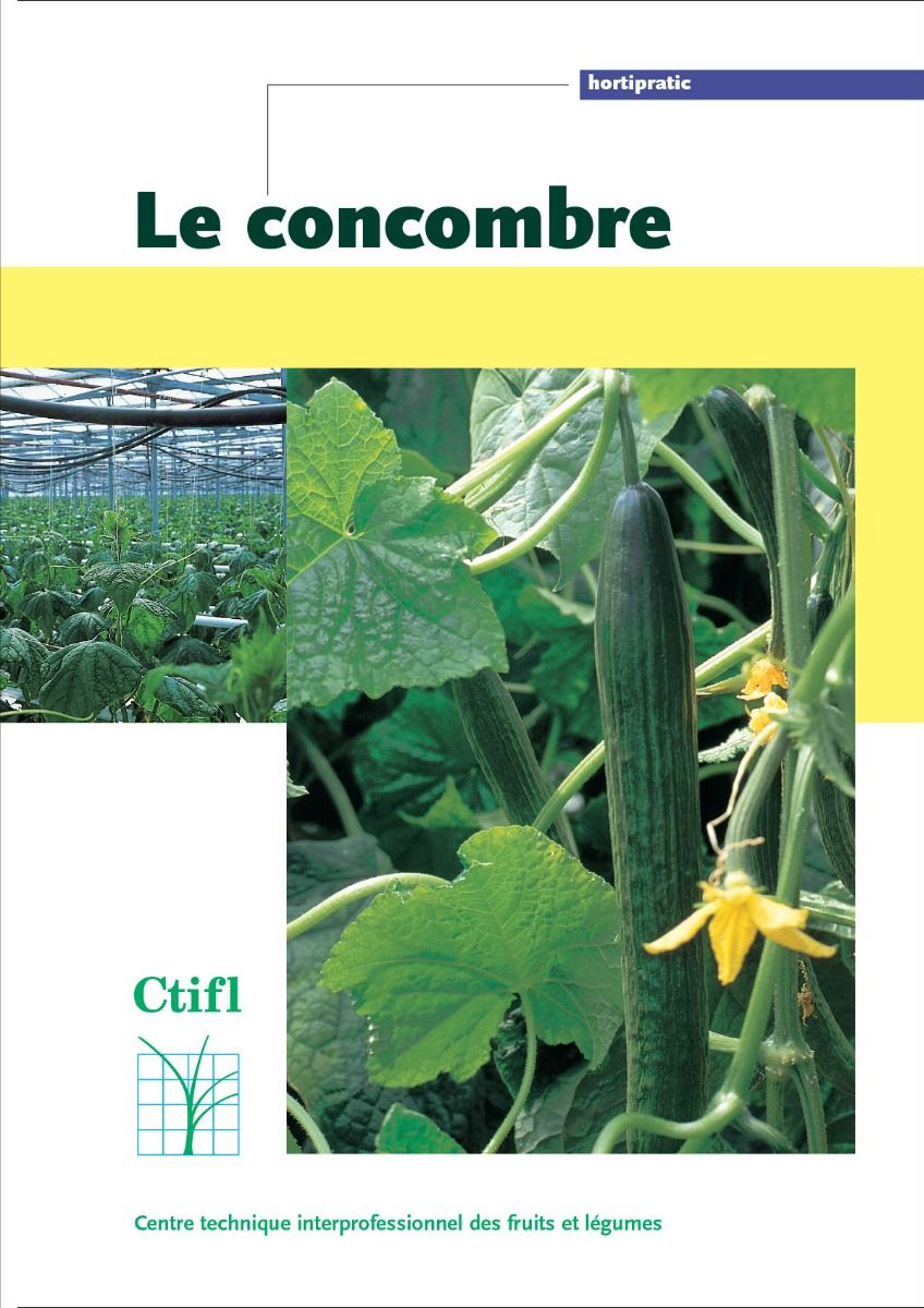 Le concombre - CTIFL
