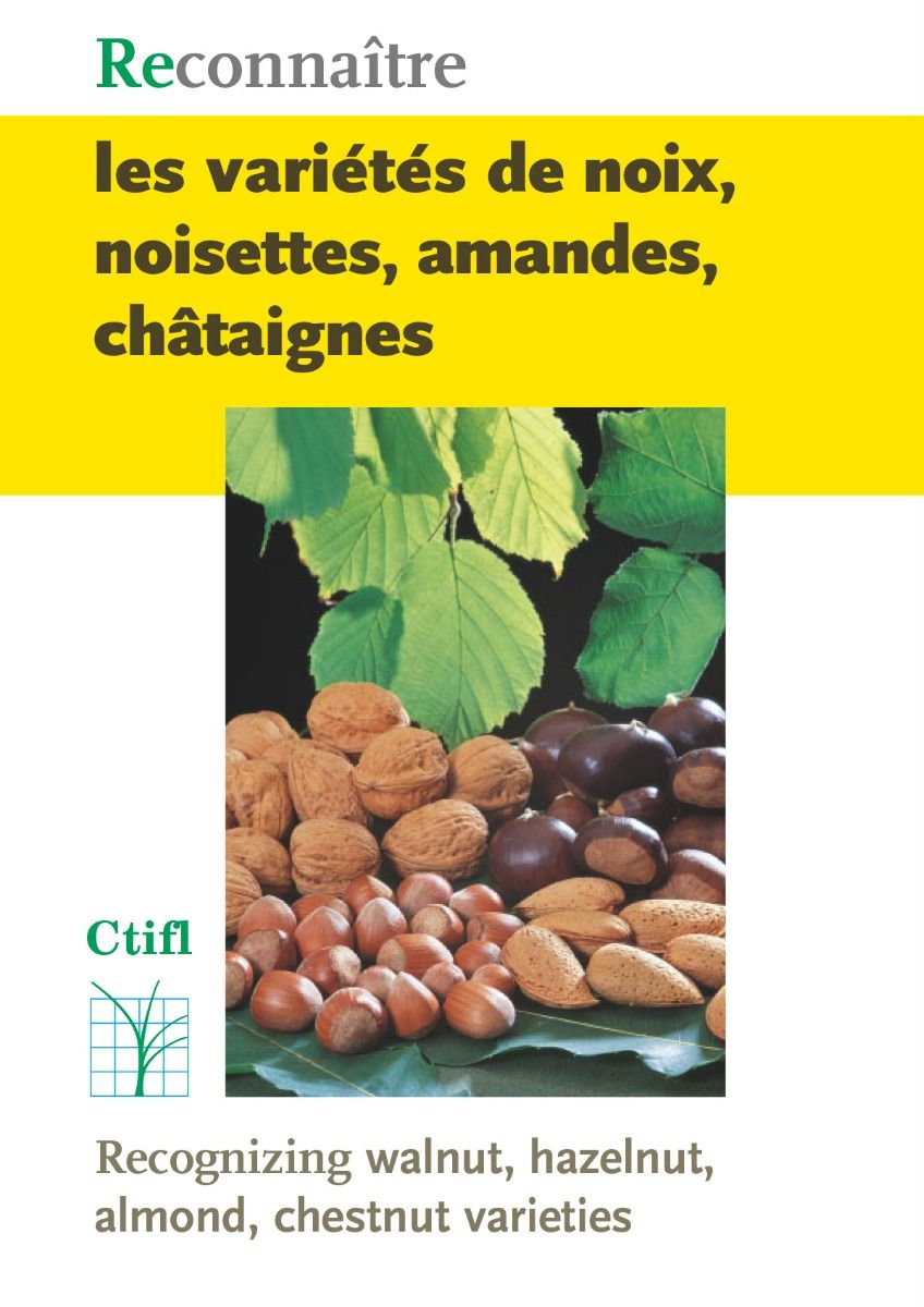 Reconnaître les variétés de noix, noisettes, amandes, châtaignes - CTIFL