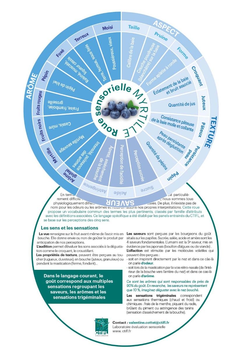 Roue sensorielle - MYRTILLE - CTIFL